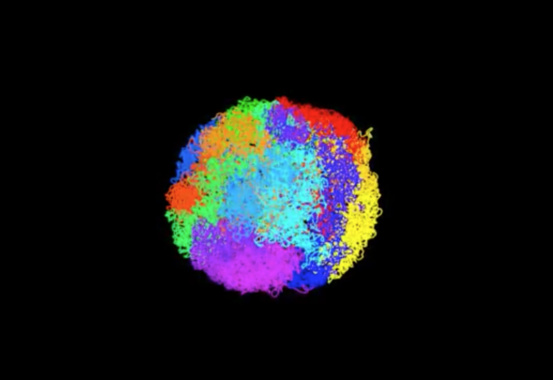 3D Map Details Complete Chromosomal Structure of Mouse | RealClearScience