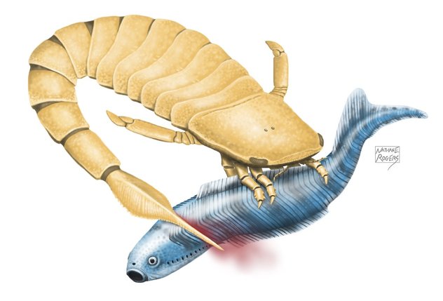 Ancient Sea Scorpion Had a Weaponized Tail | RealClearScience