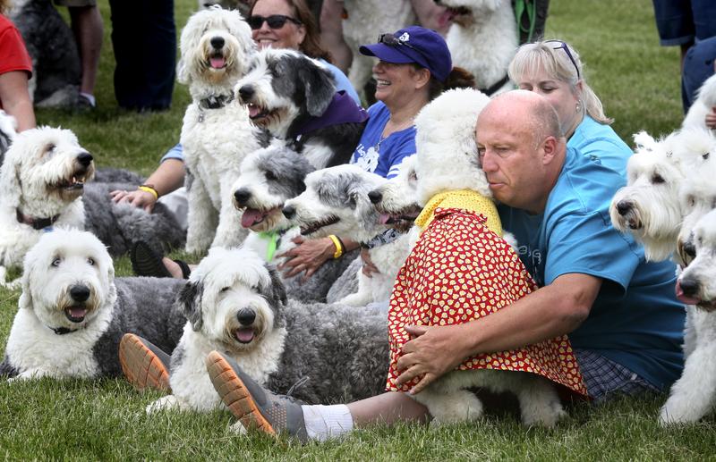 How Humans Domesticated Themselves | RealClearScience