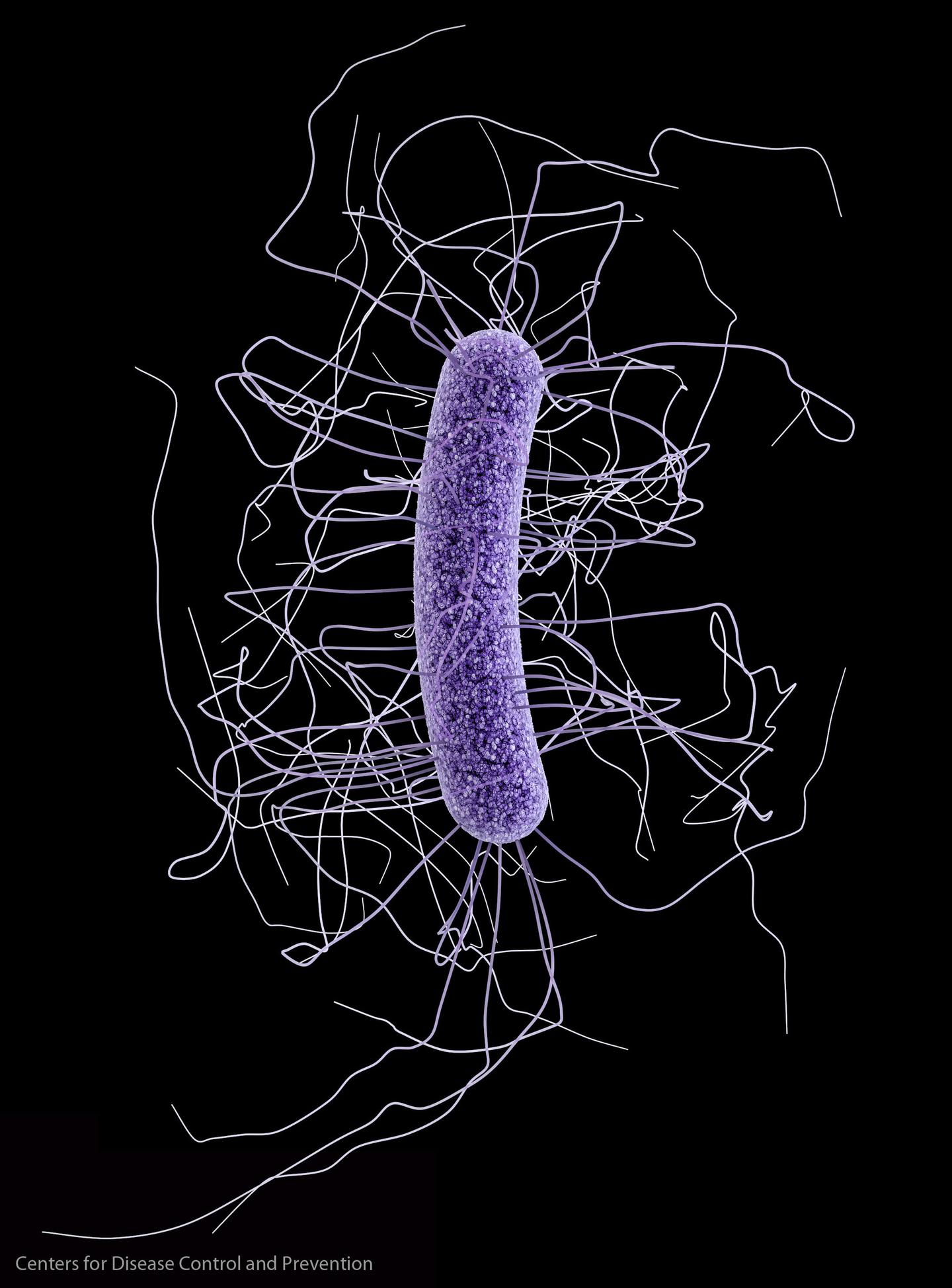 The Many Promises of Microbiome Research | RealClearScience