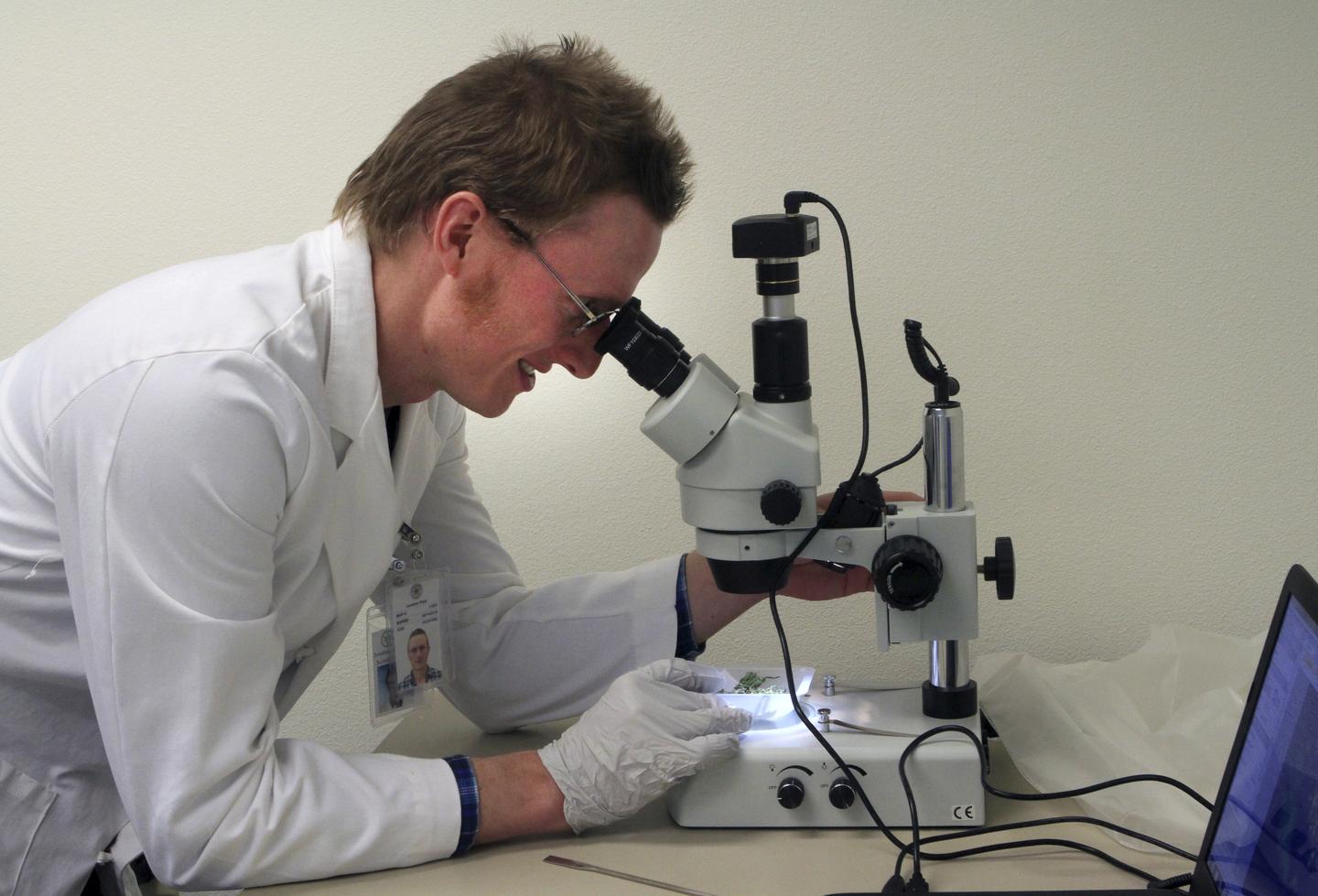 Microscopy Technique Sees Individual Atoms for 1st Time | RealClearScience