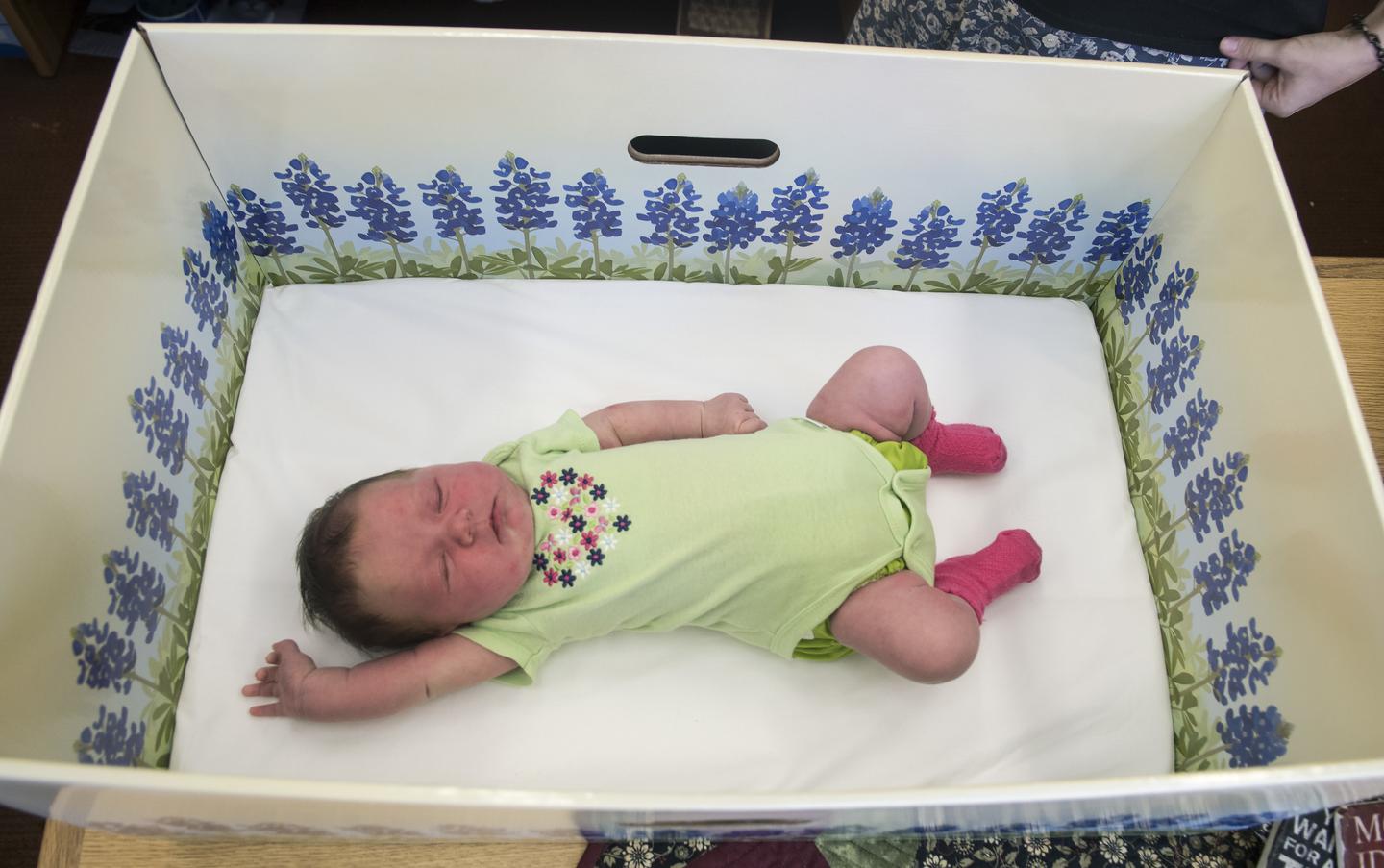 Researchers Zero In on Cause for Sudden Infant Death | RealClearScience