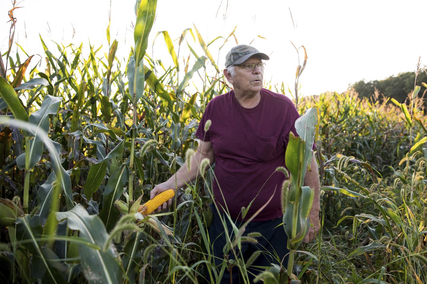 No, the World Won't Run Out of Food in 10 Years | RealClearScience