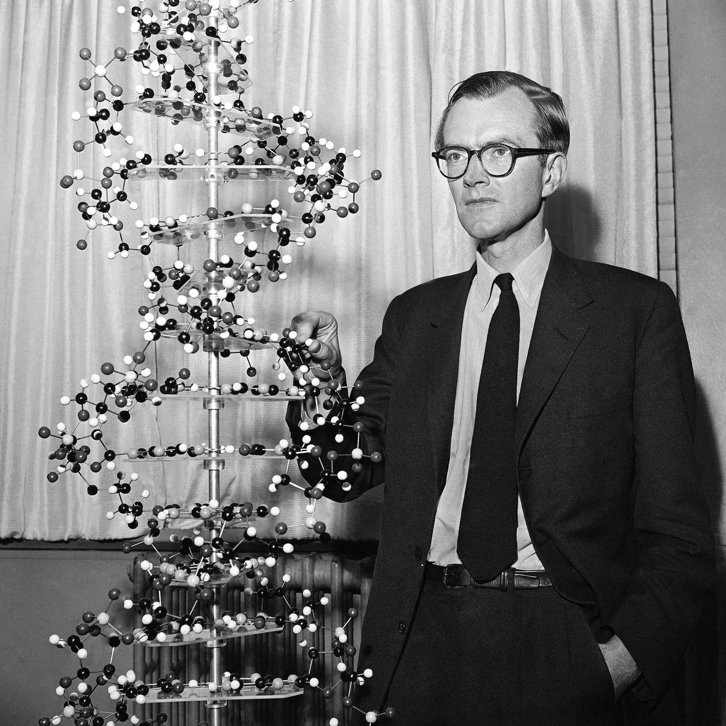 The Forgotten Scientist Whose Work Led to Finding DNA's Structure ...