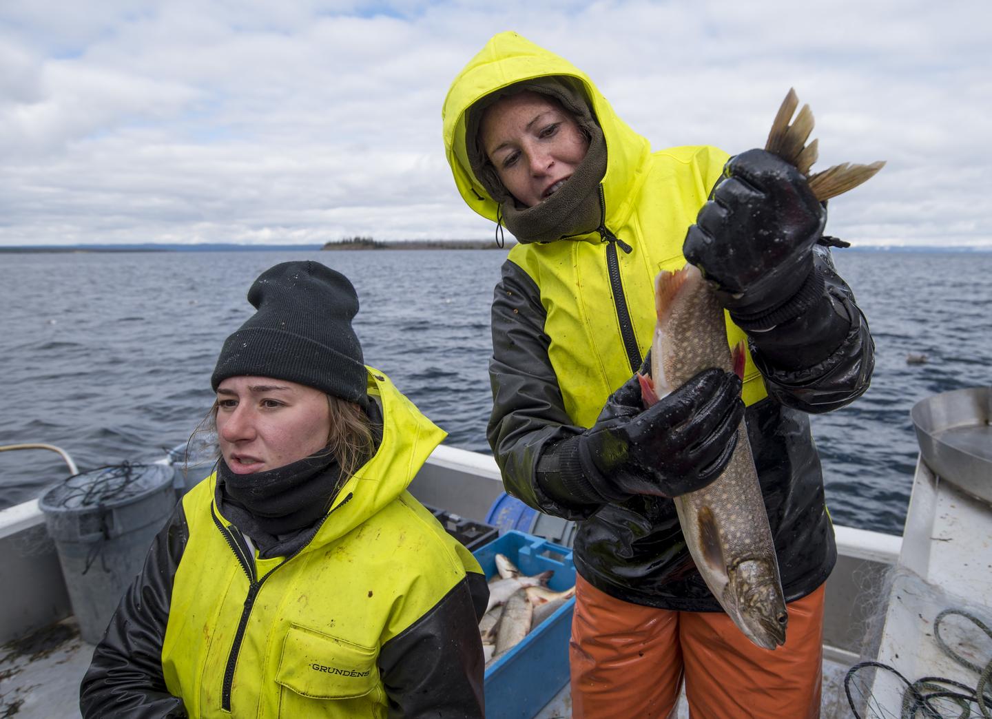 Fish Feel Pain. Now What? | RealClearScience