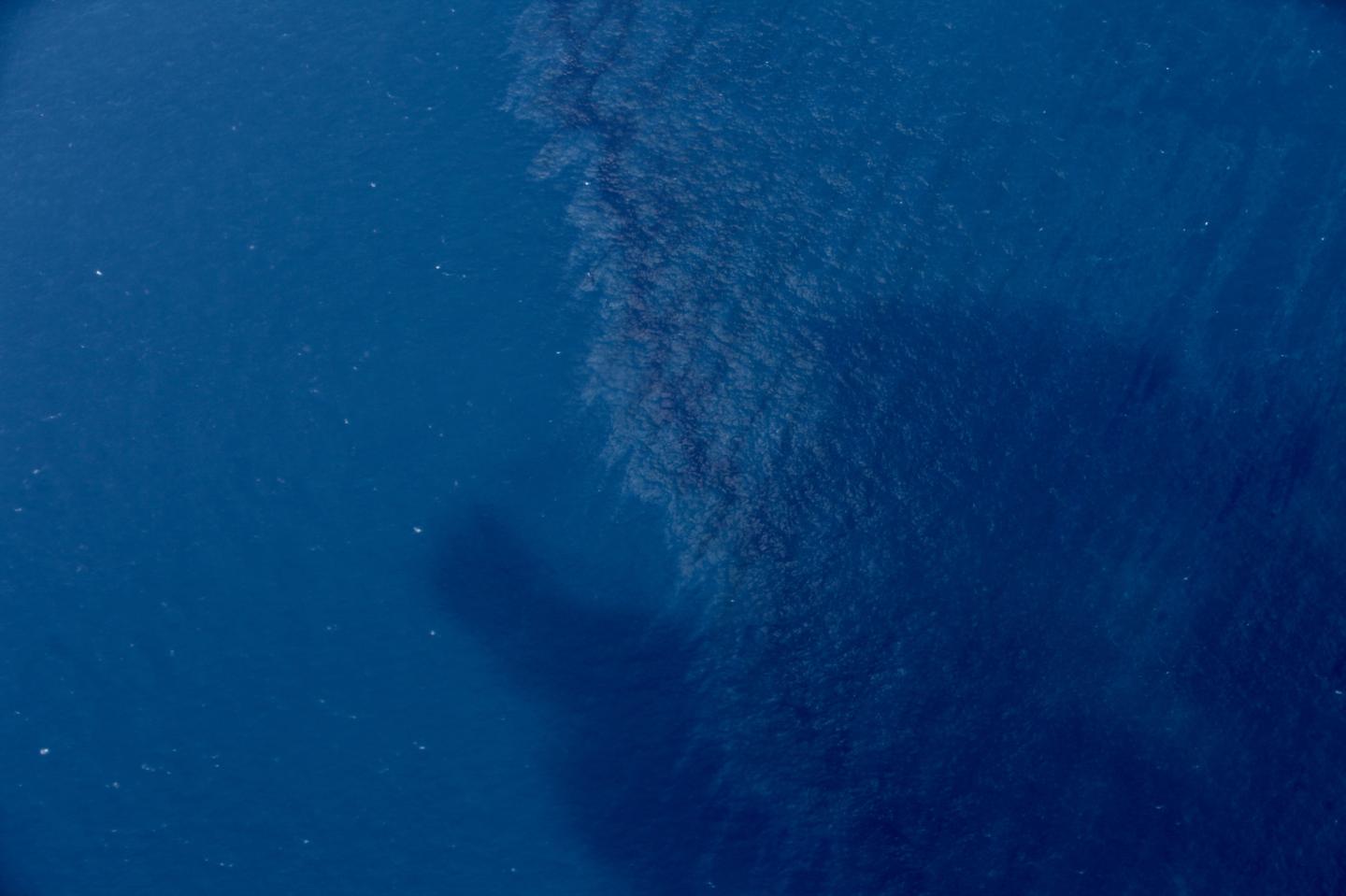 The World Has Never Seen an Oil Spill Like This | RealClearScience
