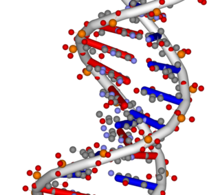 Scientists Weigh the Risks of 'Mirror Life' | RealClearScience