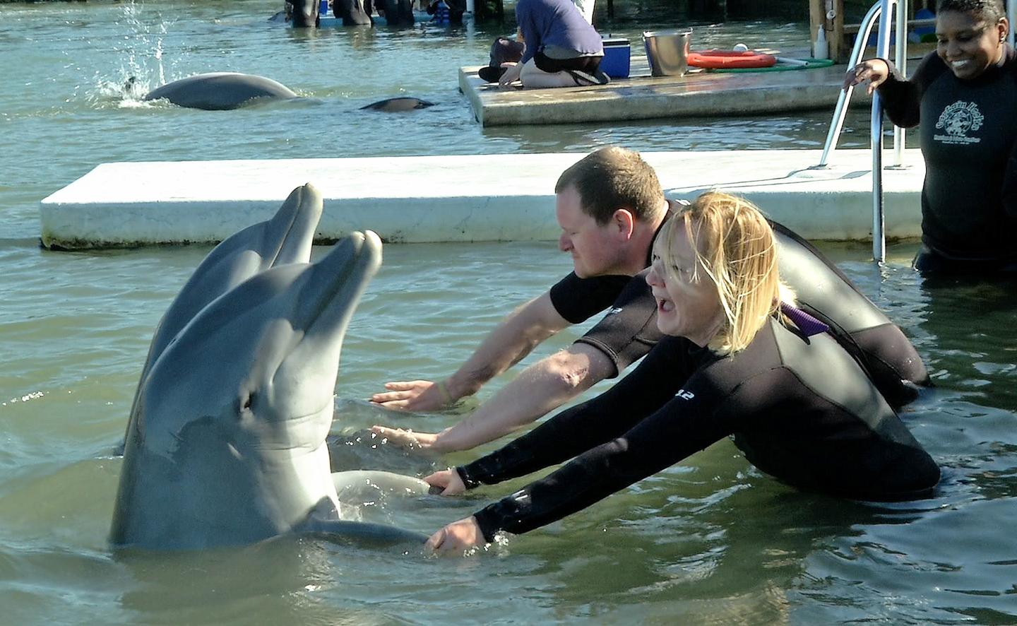 DARPA Wants to Modify Sea Creatures to Be Sensors | RealClearScience