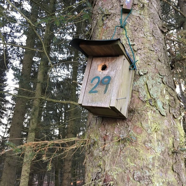 Why Prime Numbers Fascinate Mathematicians | RealClearScience