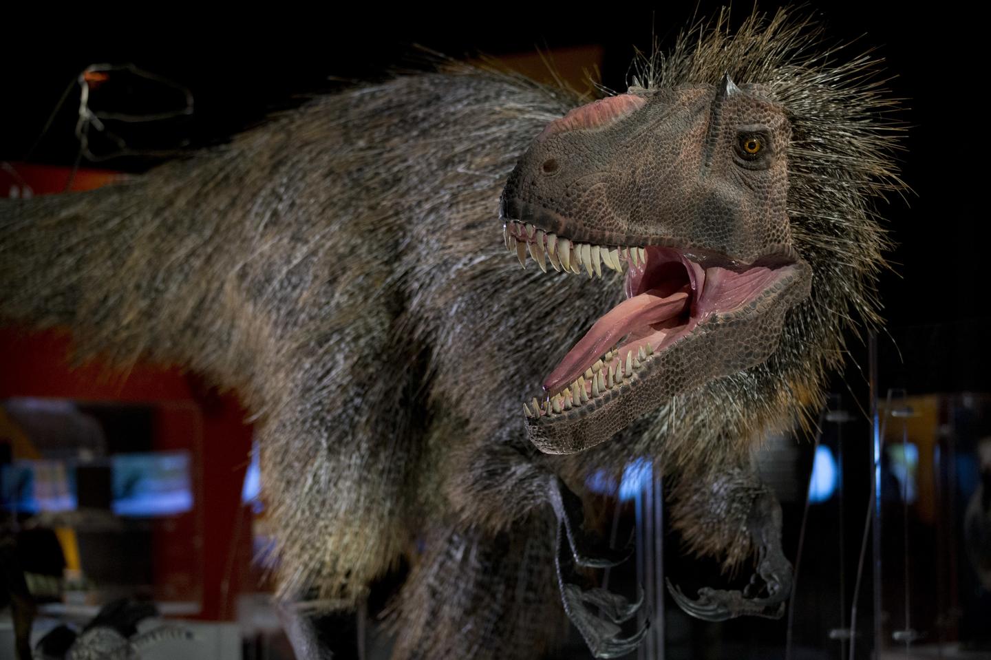 What Did Dinosaurs Actually Look Like? | RealClearScience