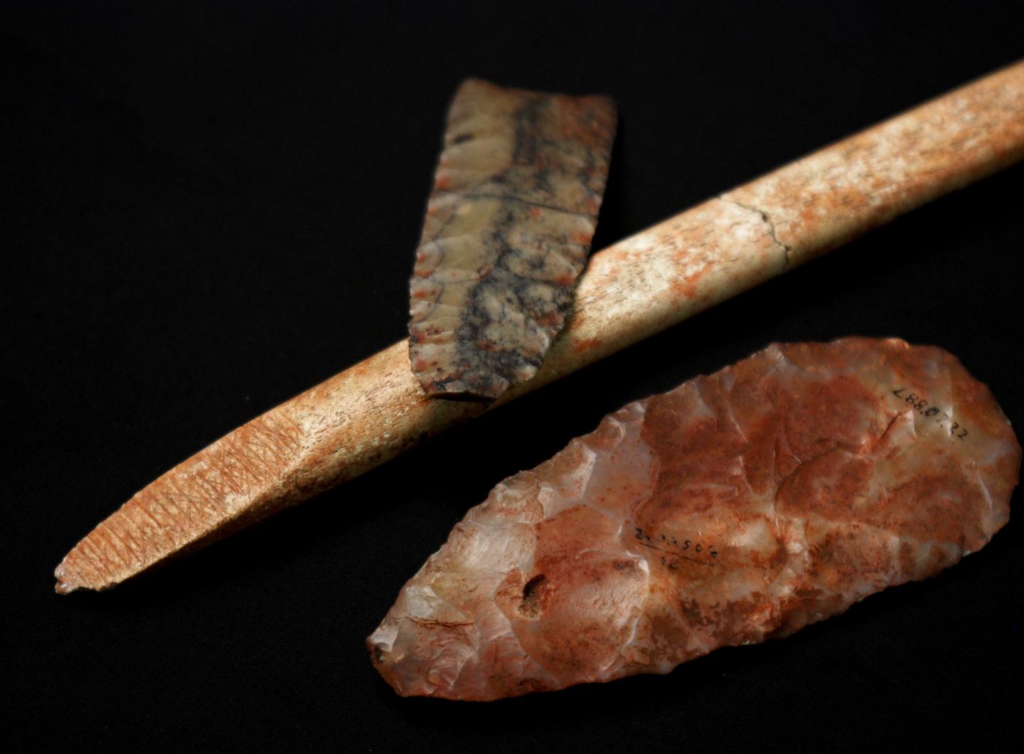 Getting to the Point of Ancient Spears | RealClearScience