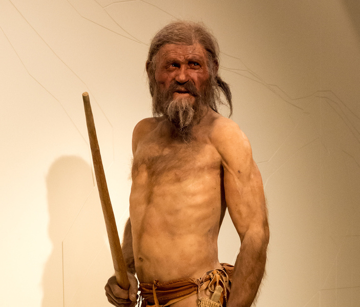 Ötzi the Iceman and His Neighbors Had Different Ancestries ...