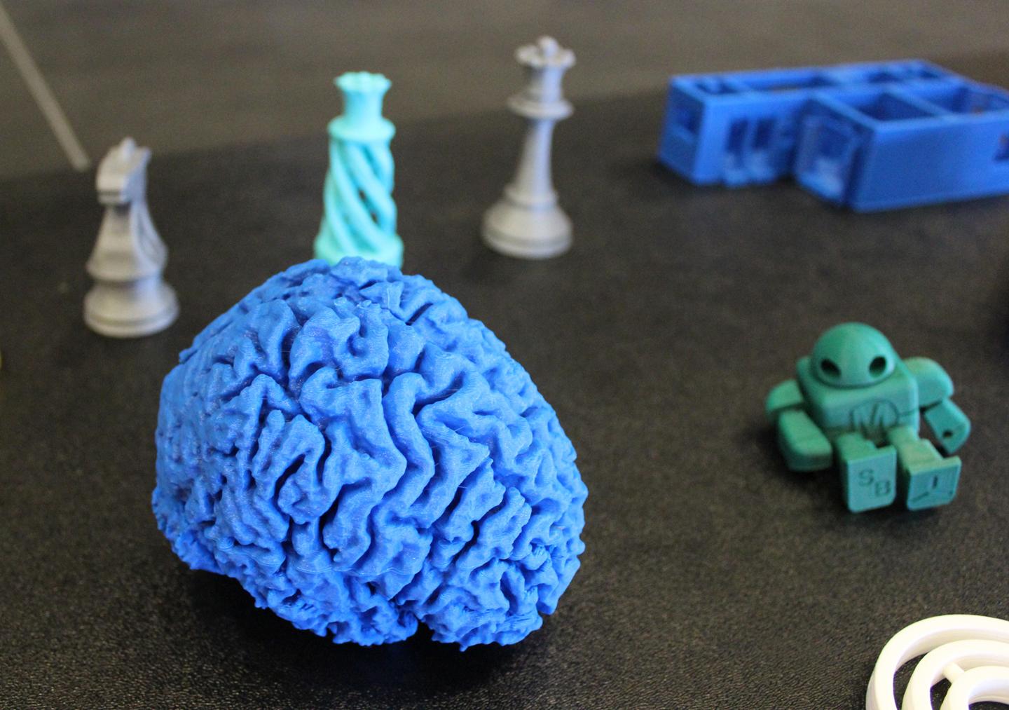 Cerebellum Played Important Role in Human Brain Evolution ...