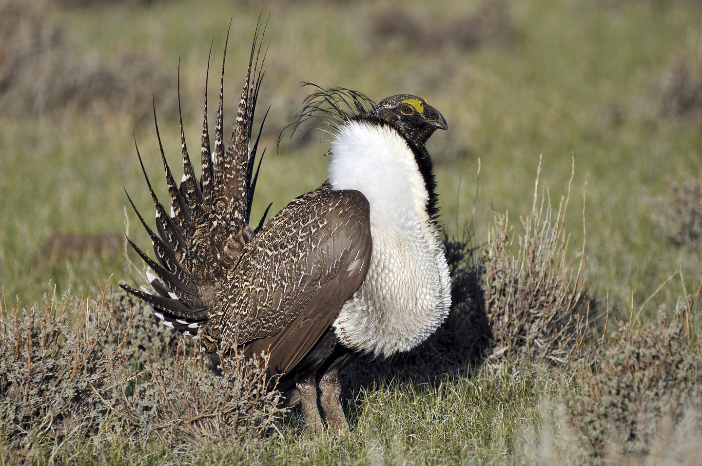 Why Don t Humans Have A Mating Season Video RealClearScience