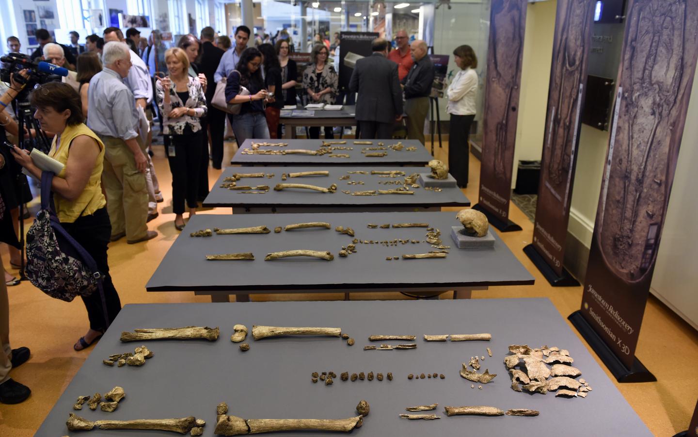 A Jamestown Skeleton Is Unearthed | RealClearHistory