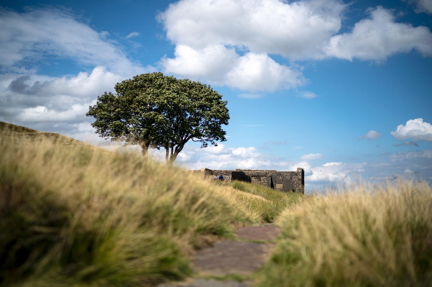 10 Facts About Emily Brontë | RealClearHistory