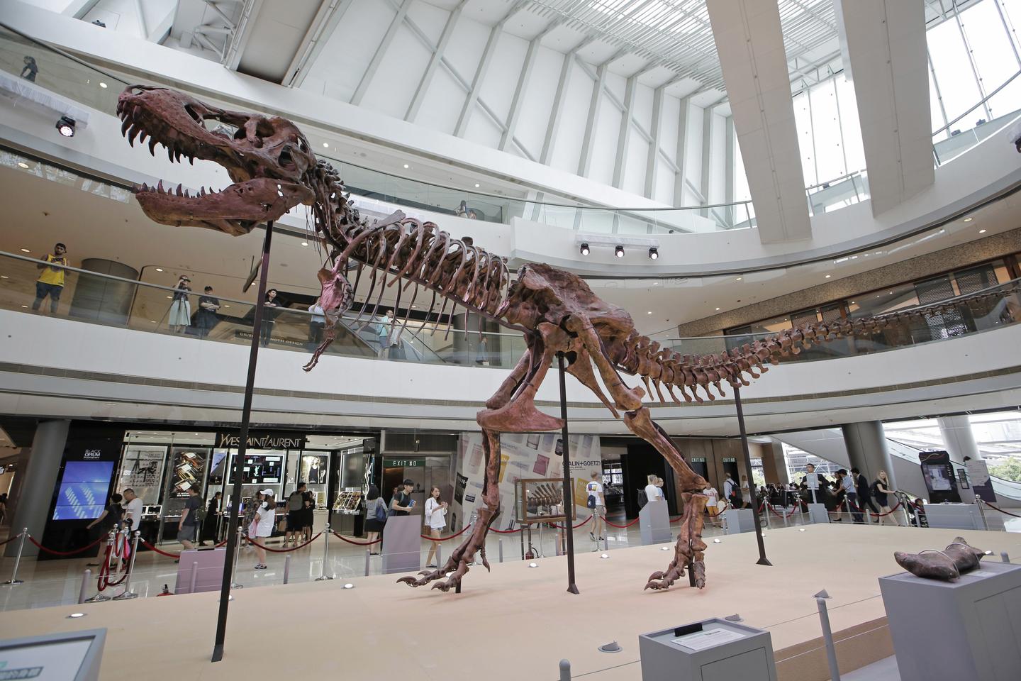 How American Tycoons Created the Dinosaur | RealClearScience