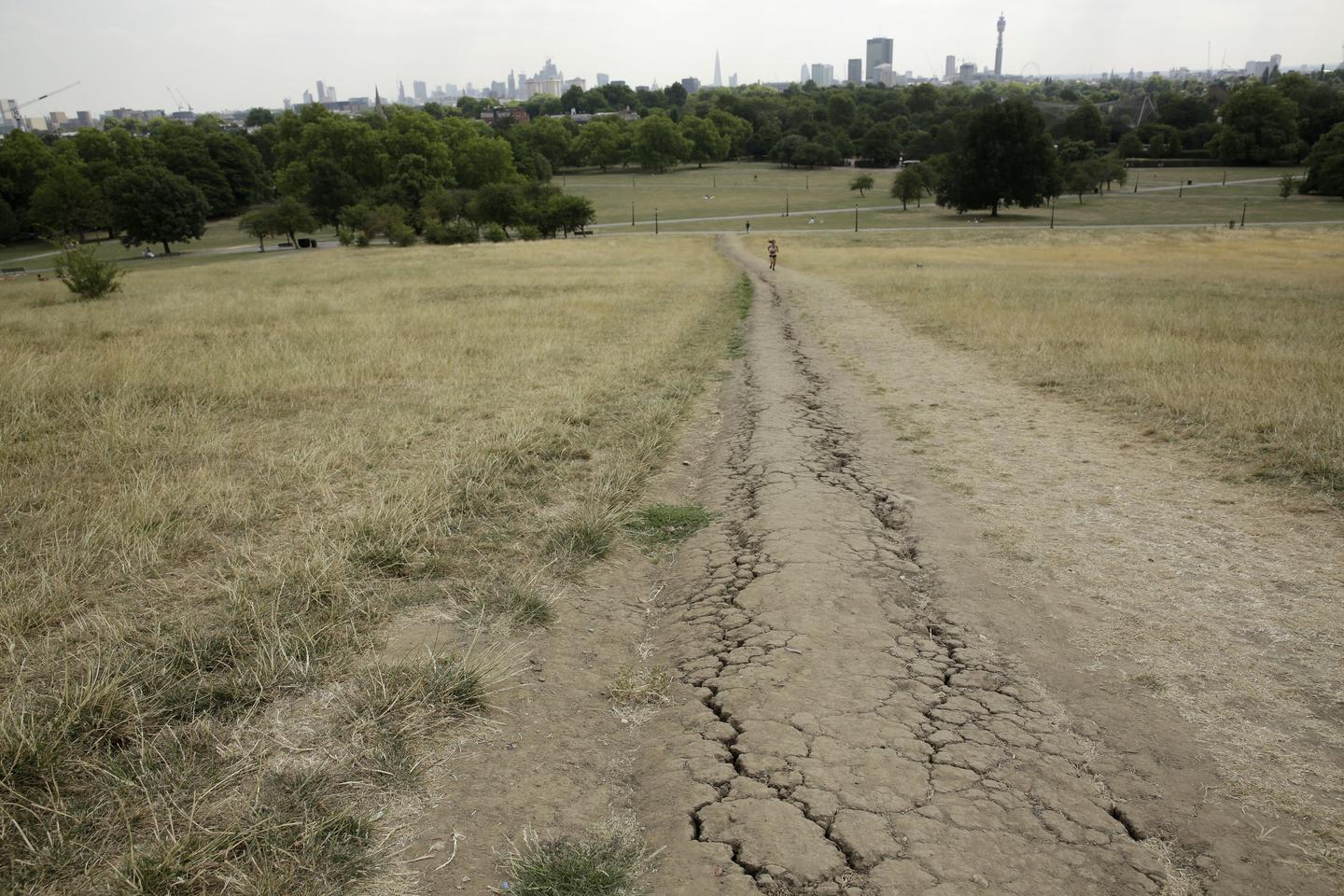 Earth Is Breathing Heavily, and That's a Problem | RealClearScience