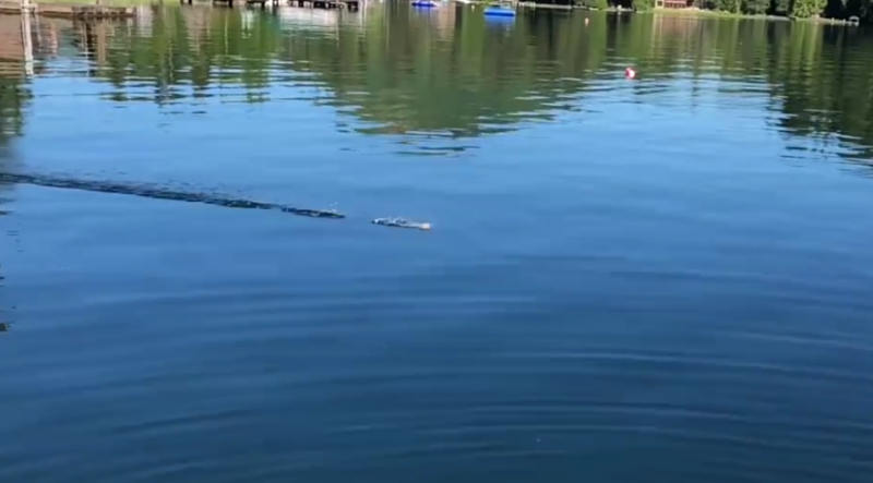 The Science of Perfect Rock Skipping | Video | RealClearScience