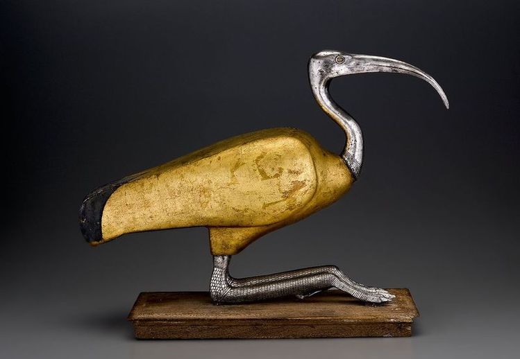 How Bird Mummies Fueled the First Debate on Evolution | RealClearScience