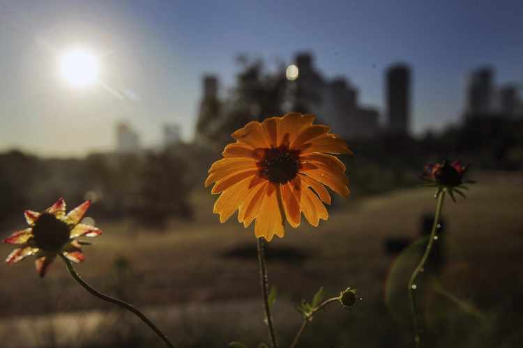 RealClearEnergy - Opinion, News, Analysis, Video and Polls