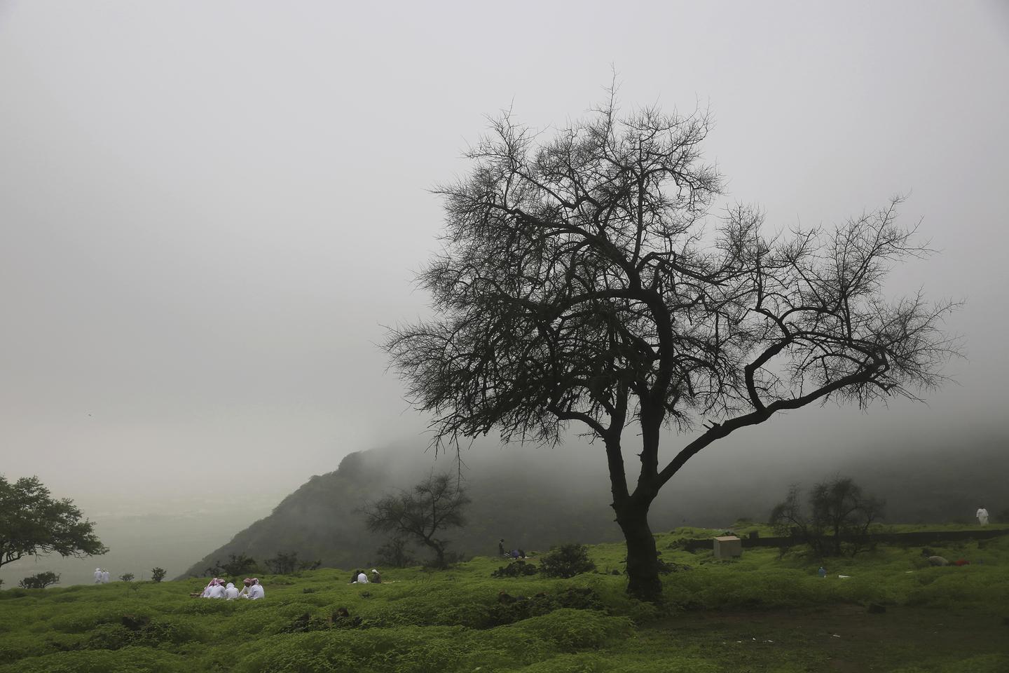 Did Ancient Climate Change Affect Human Evolution? | RealClearScience