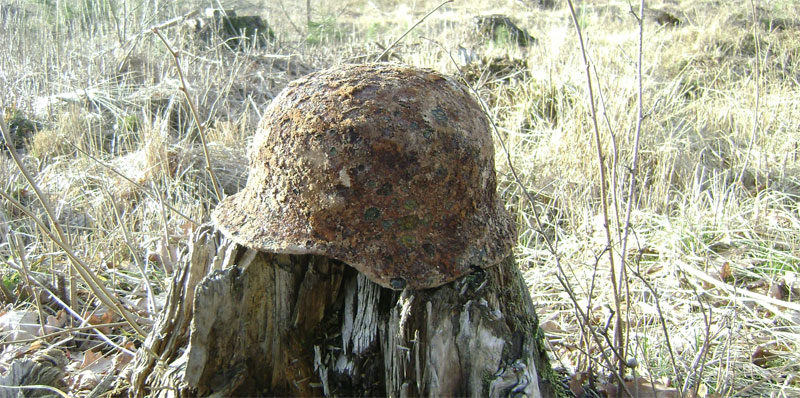Blood in the Forest: The End of the Second World War in the Courland ...