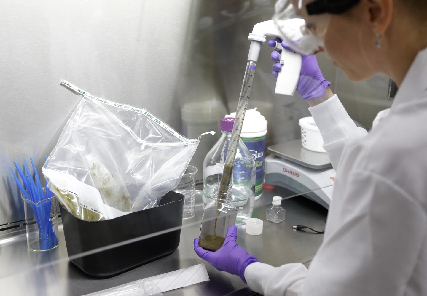 Scientists Identify Poop Transplant "Super Donors" | RealClearScience