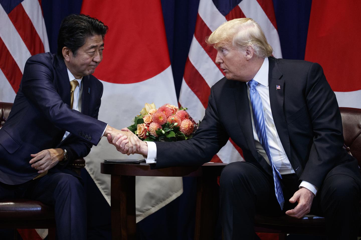 Japan Drafts a Delicate Approach to U.S. Trade Talks | RealClearWorld