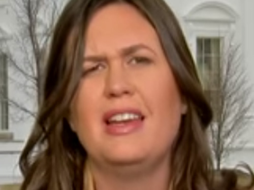 Sarah Sanders: Ann Coulter Is Not "An Influential Voice In This Country ...