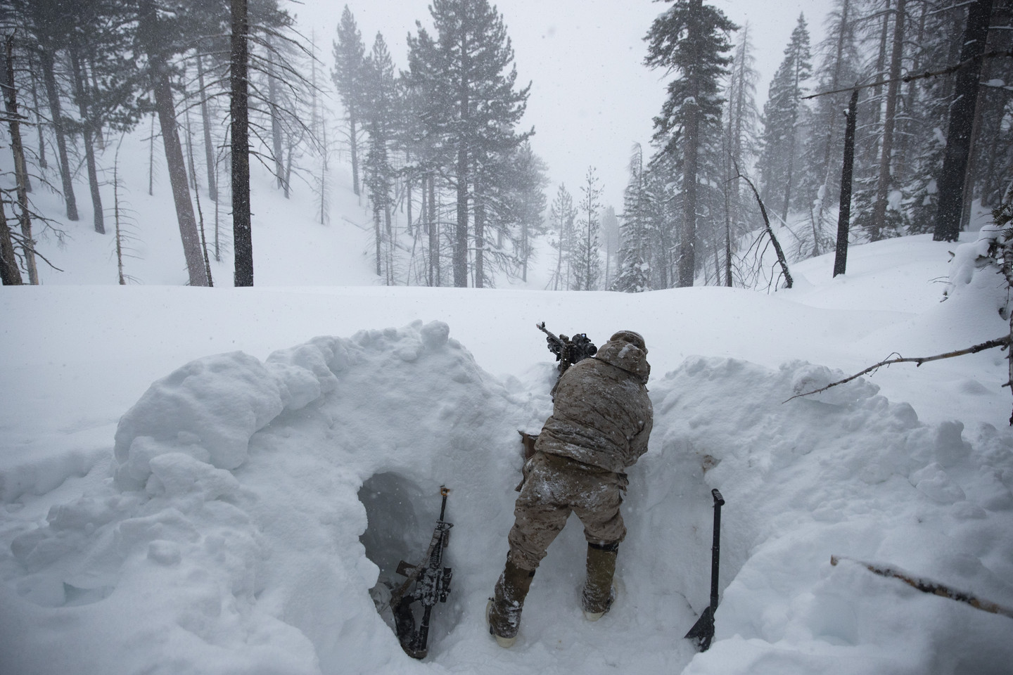 U.S. Steps up Winter-Warfare Training As Global Threat Shifts ...