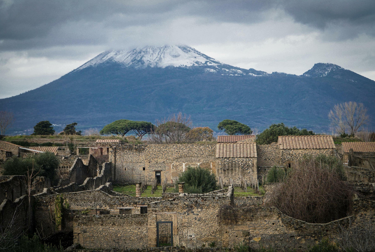 Where Did Pompeii's Survivors Go? | RealClearScience
