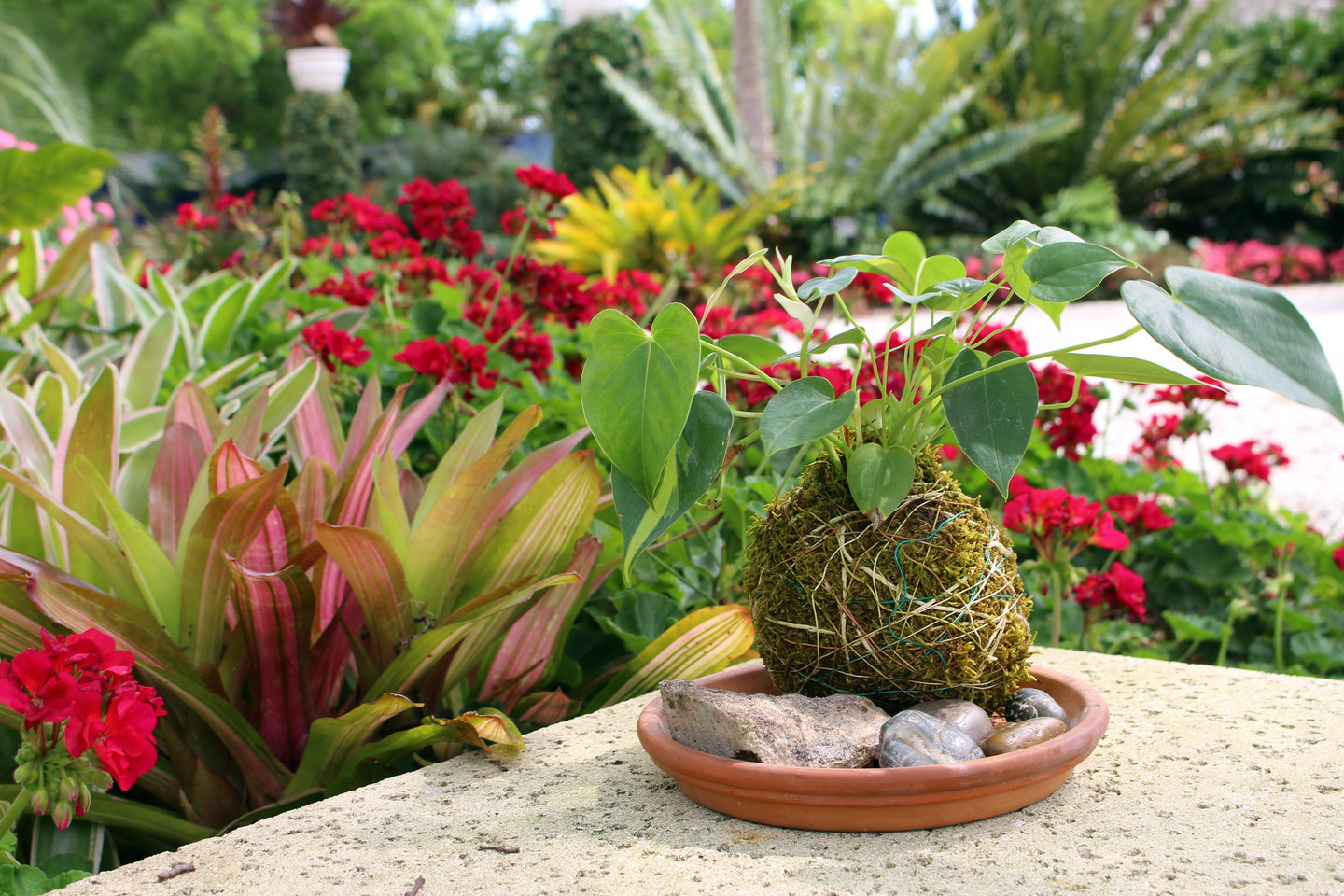 Are Plants Quantum? | RealClearScience