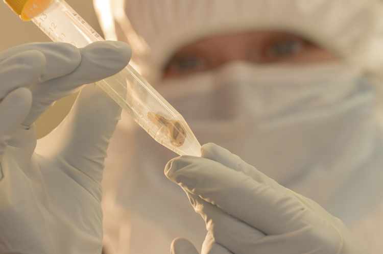 How the Way We Live Affects Epidemics of Plague | RealClearScience