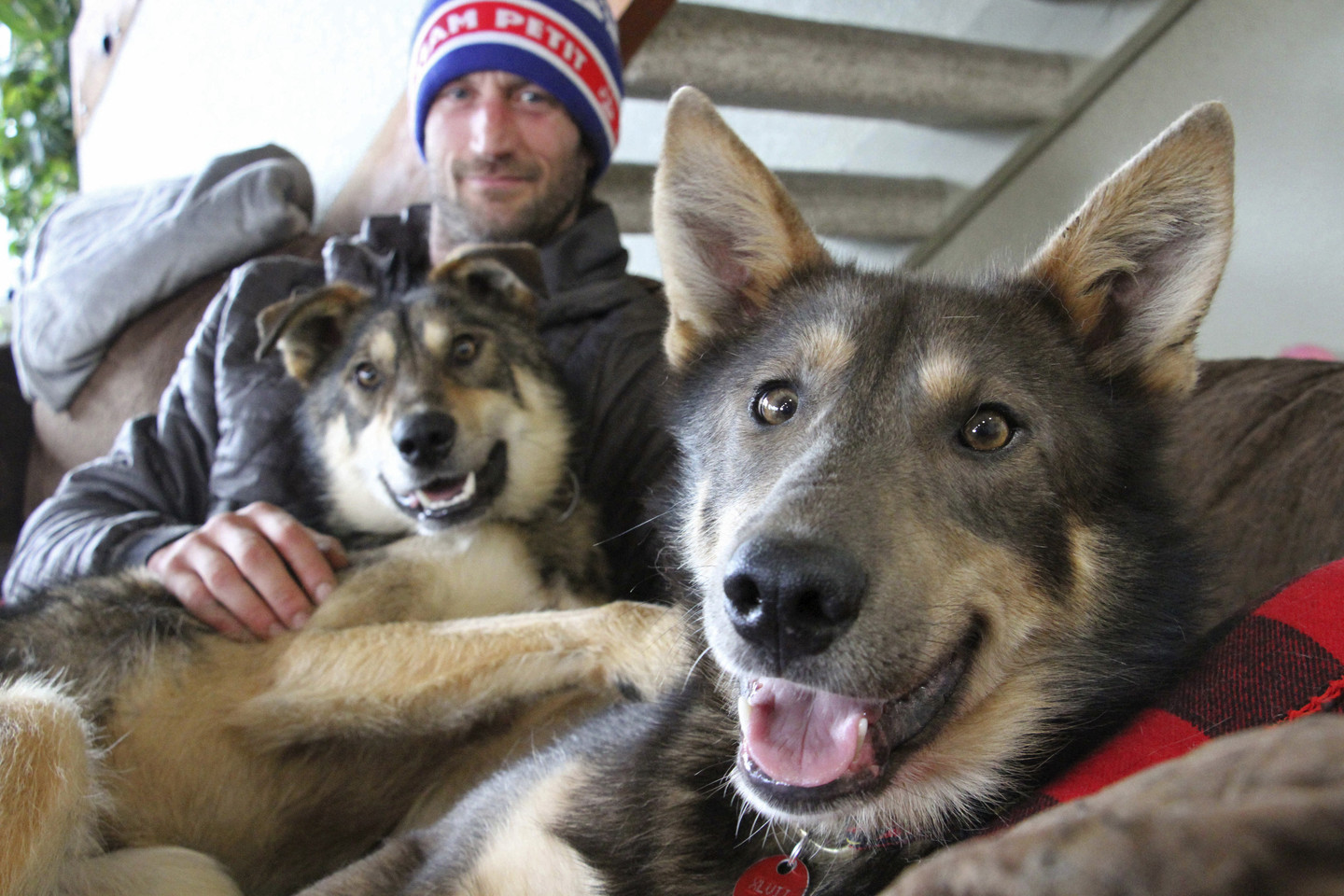 A Brief History of Dogs | Video | RealClearScience