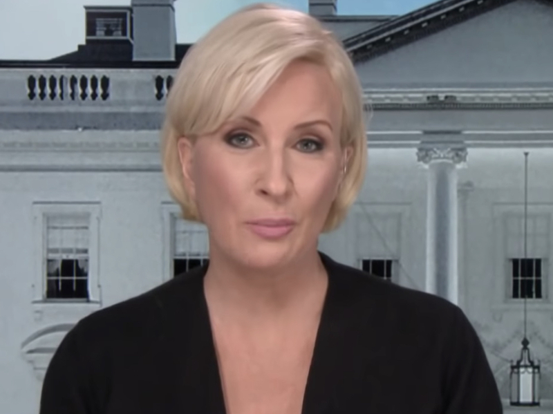 'Morning Joe' Panel: Is Stephen Miller Set To Take Charge Of DHS ...