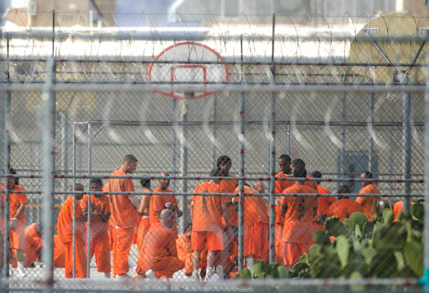 The Politics of People Behind Bars | RealClearPolicy