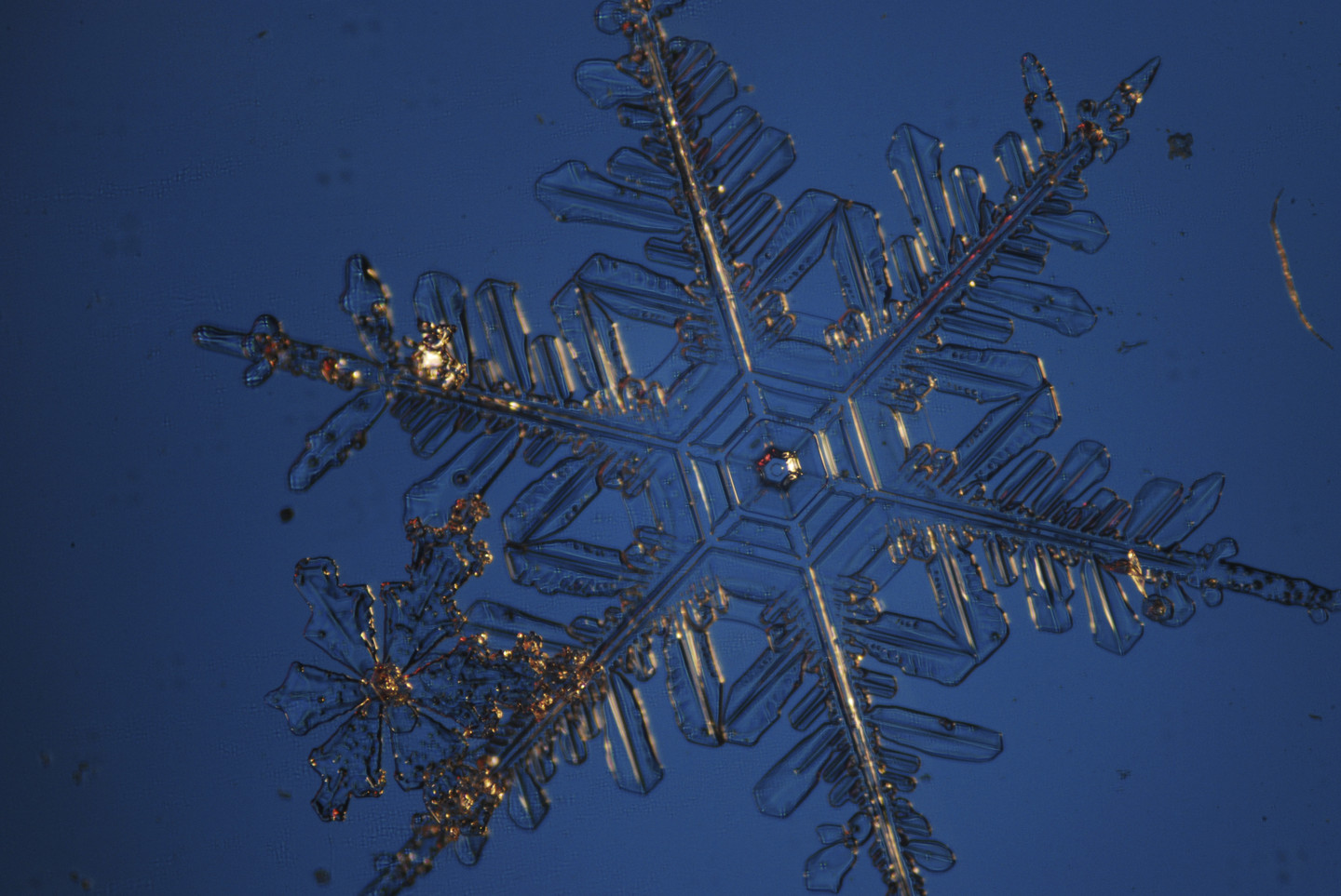 Why Are Snowflakes Flat? | Video | RealClearScience
