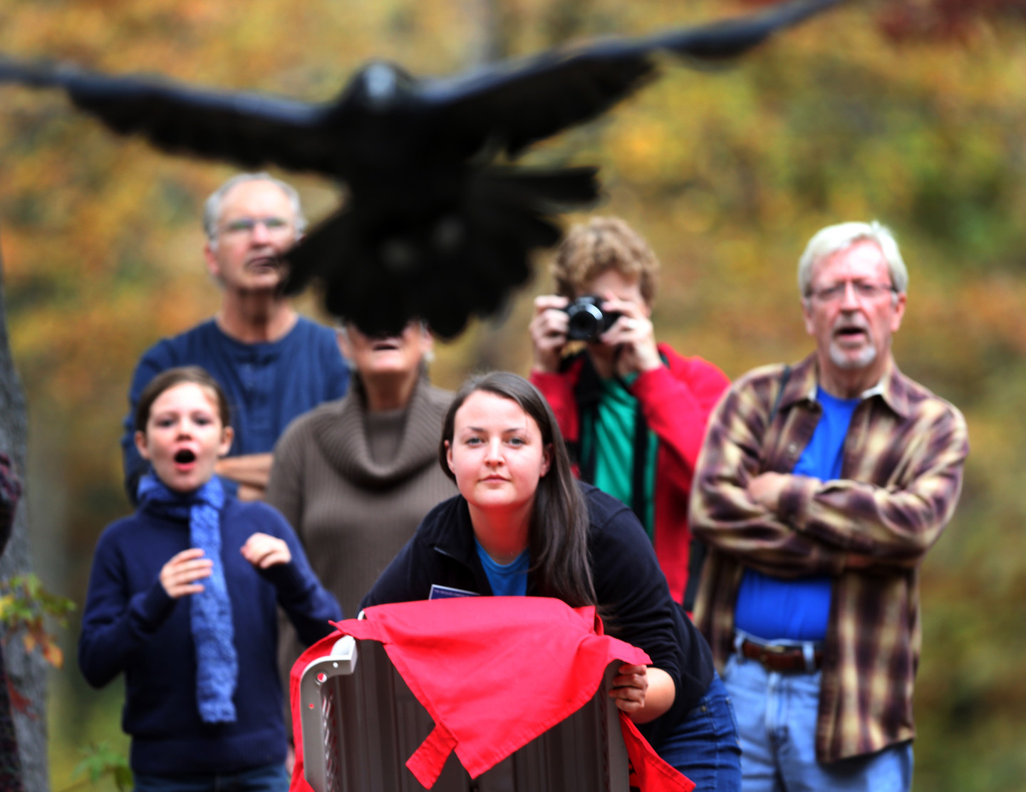 The Raven Paradox and the Scientific Method | RealClearScience