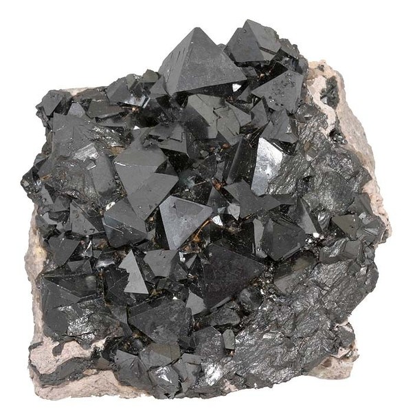 Why Is There Magnetite in the Human Brain? | RealClearScience