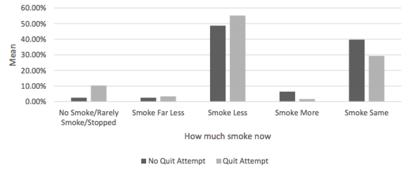 To Vape or Not To Vape? Preliminary Results from a Qualitative Survey ...