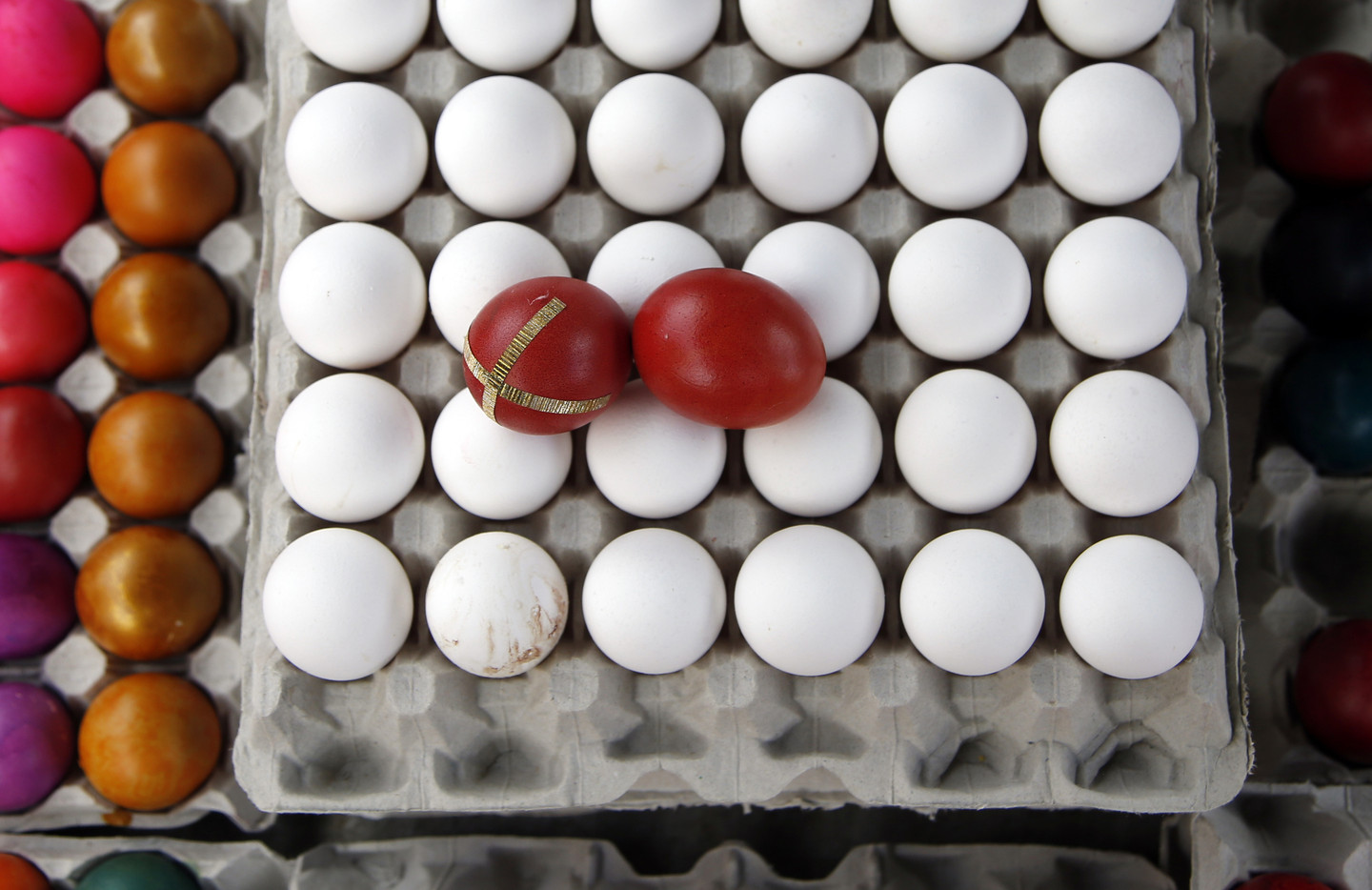 Why Don't Birds Lay Square Eggs? | Video | RealClearScience