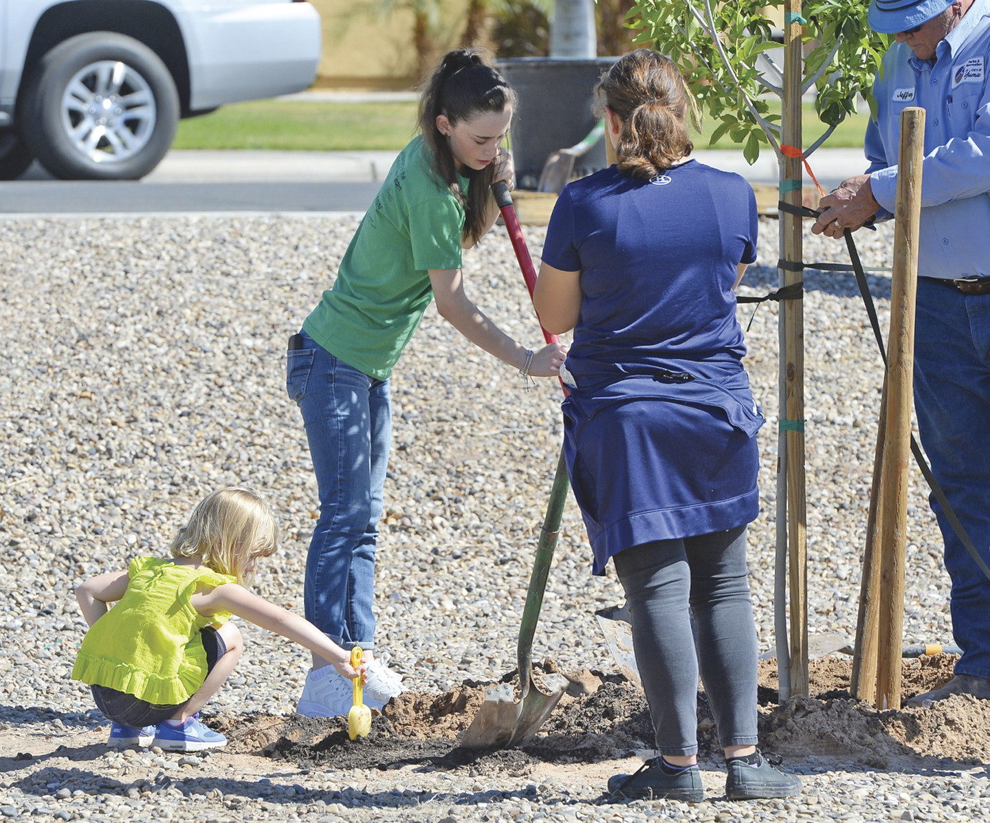 We Can't Just Plant Billions of Trees to Stop Climate Change ...