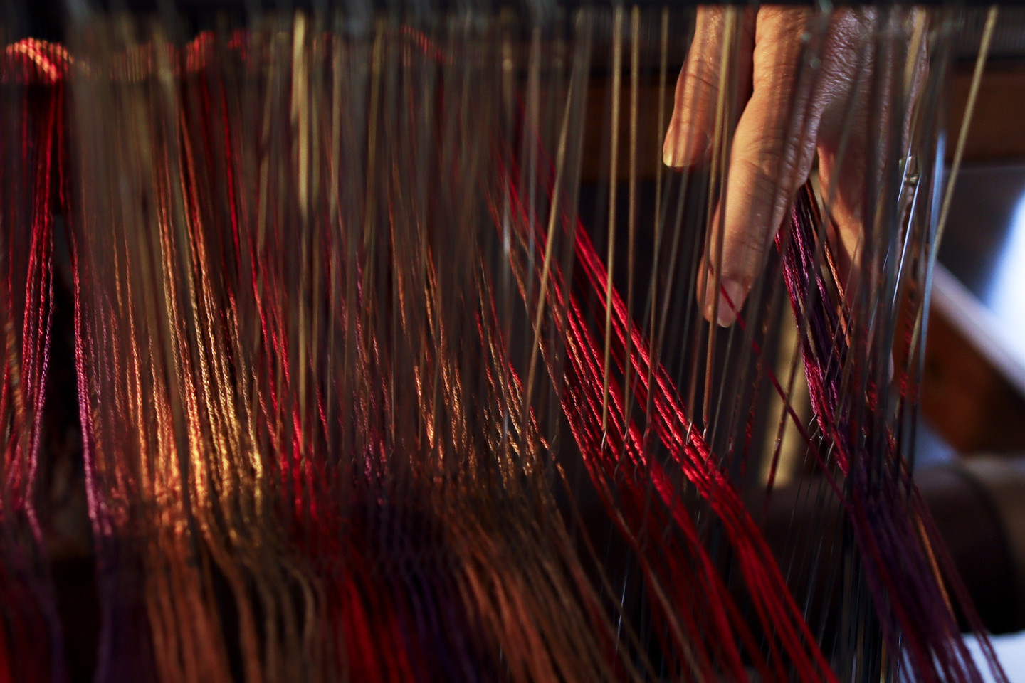 Tiny Bombs In Your Blood The Complement System Video Realclearscience