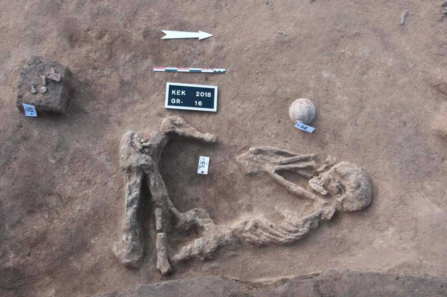 Who Were the Neolithic People That Enabled the Rise of Ancient Egypt ...