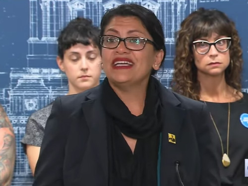 Rashida Tlaib: "All I Can Do As The Granddaughter Of A Woman Who Lives ...