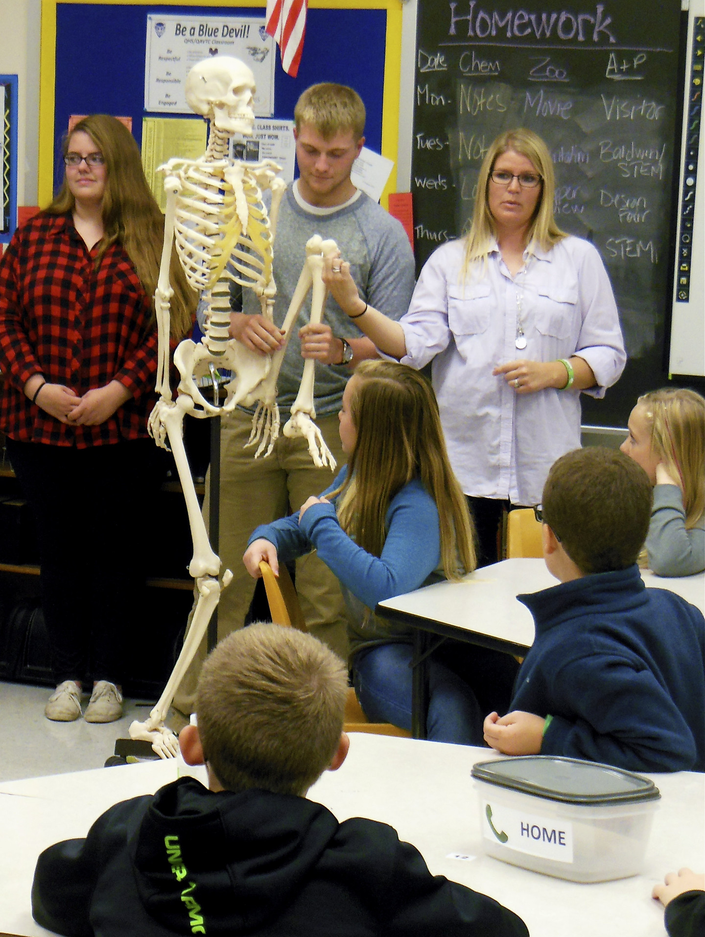 Six Surprising Facts About the Human Skeleton | RealClearScience