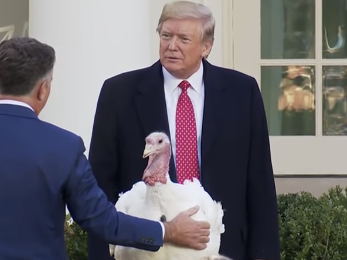 President Trump Delivers Remarks at Presentation of the Pardoning of ...