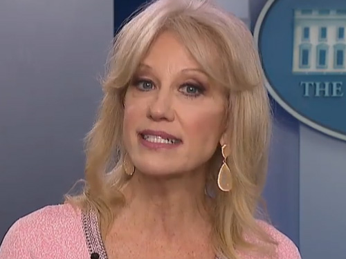Kellyanne Conway Rages At Impeachment Witness Pamela Karlan: "Who The ...
