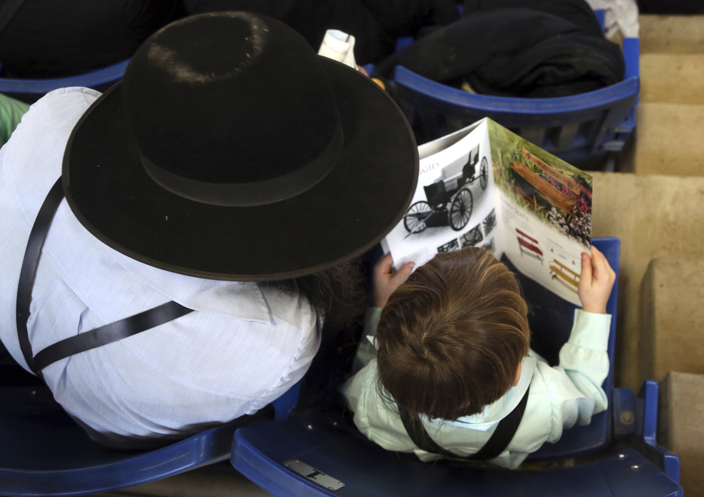 Genetic Mutation to Blame for Sudden Deaths Among Amish | RealClearScience